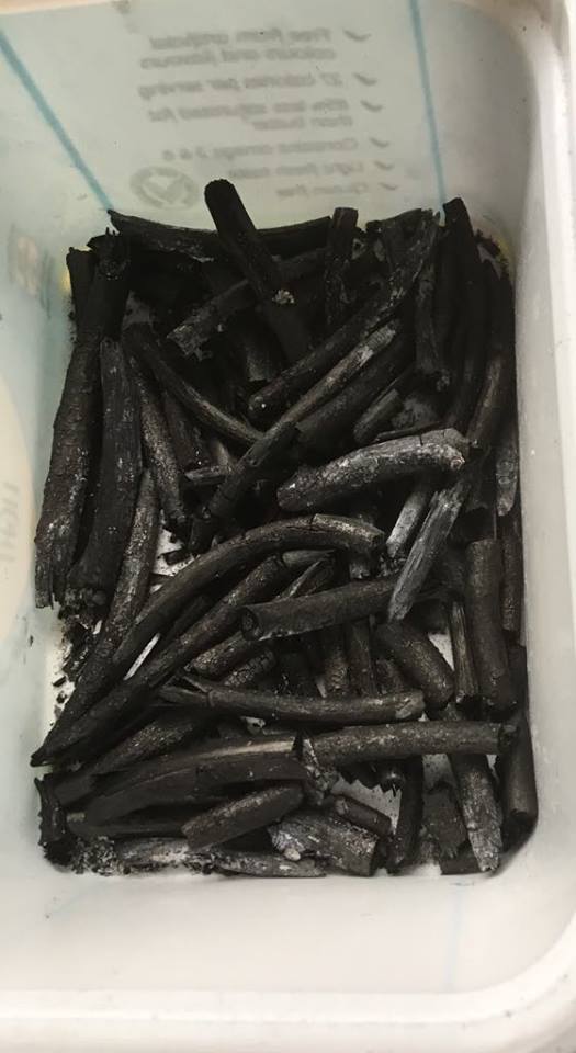 Sarah’s Charcoal Project – The Spindle Tree